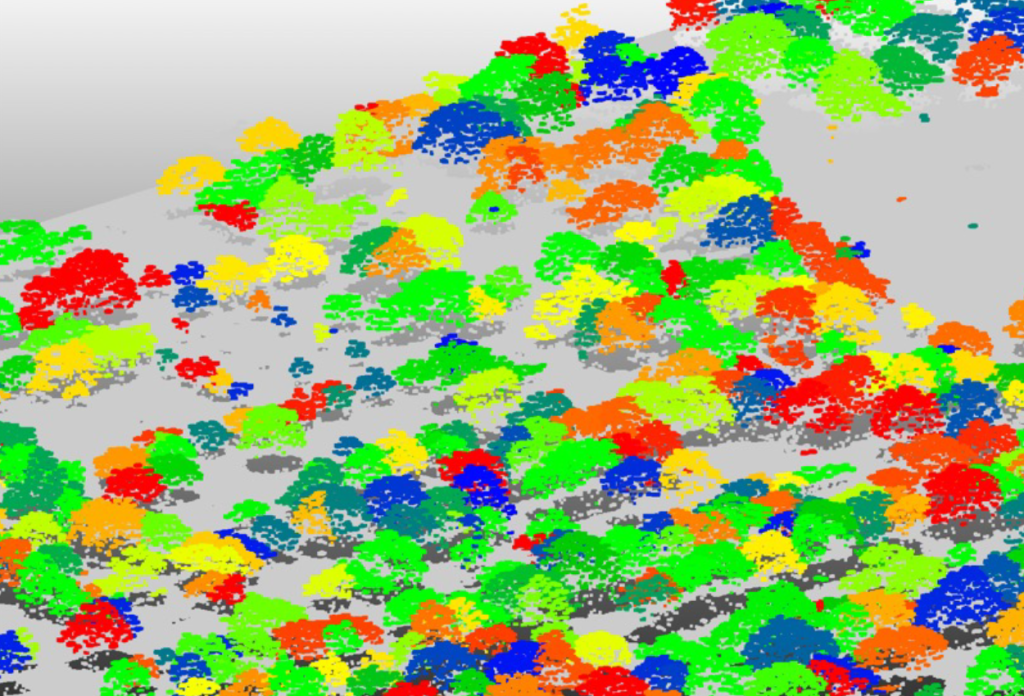 Classification Brain – Mindtrace Website